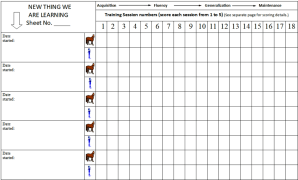Horse Training Plans | herthamuddyhorse